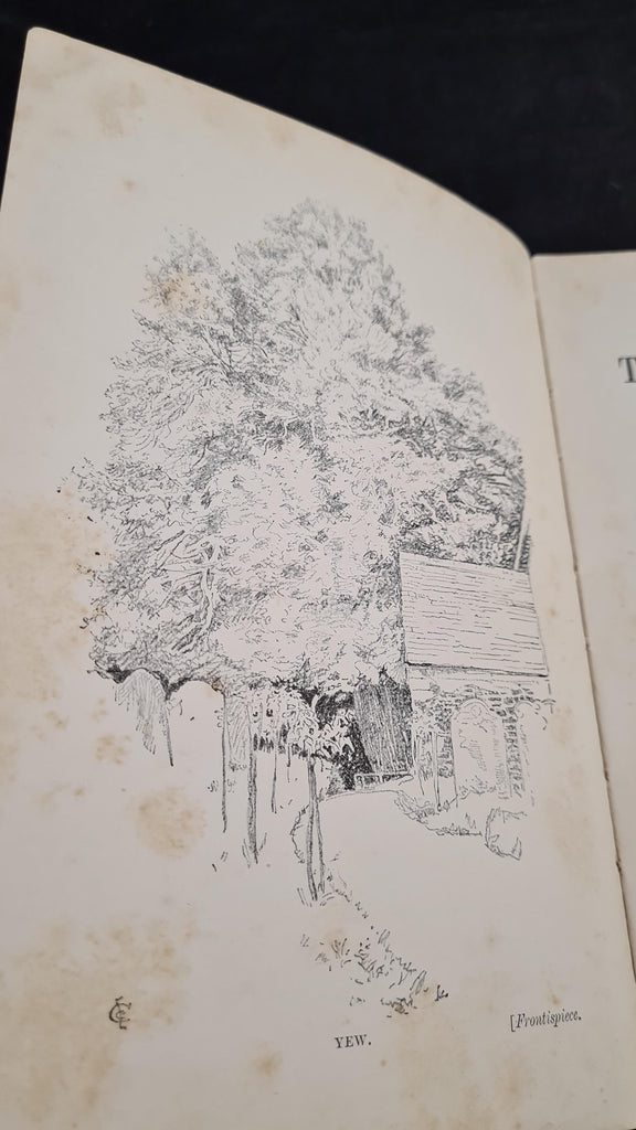 Edward C Clifford - Trees and Tree Drawing, George Rowney, no date ...