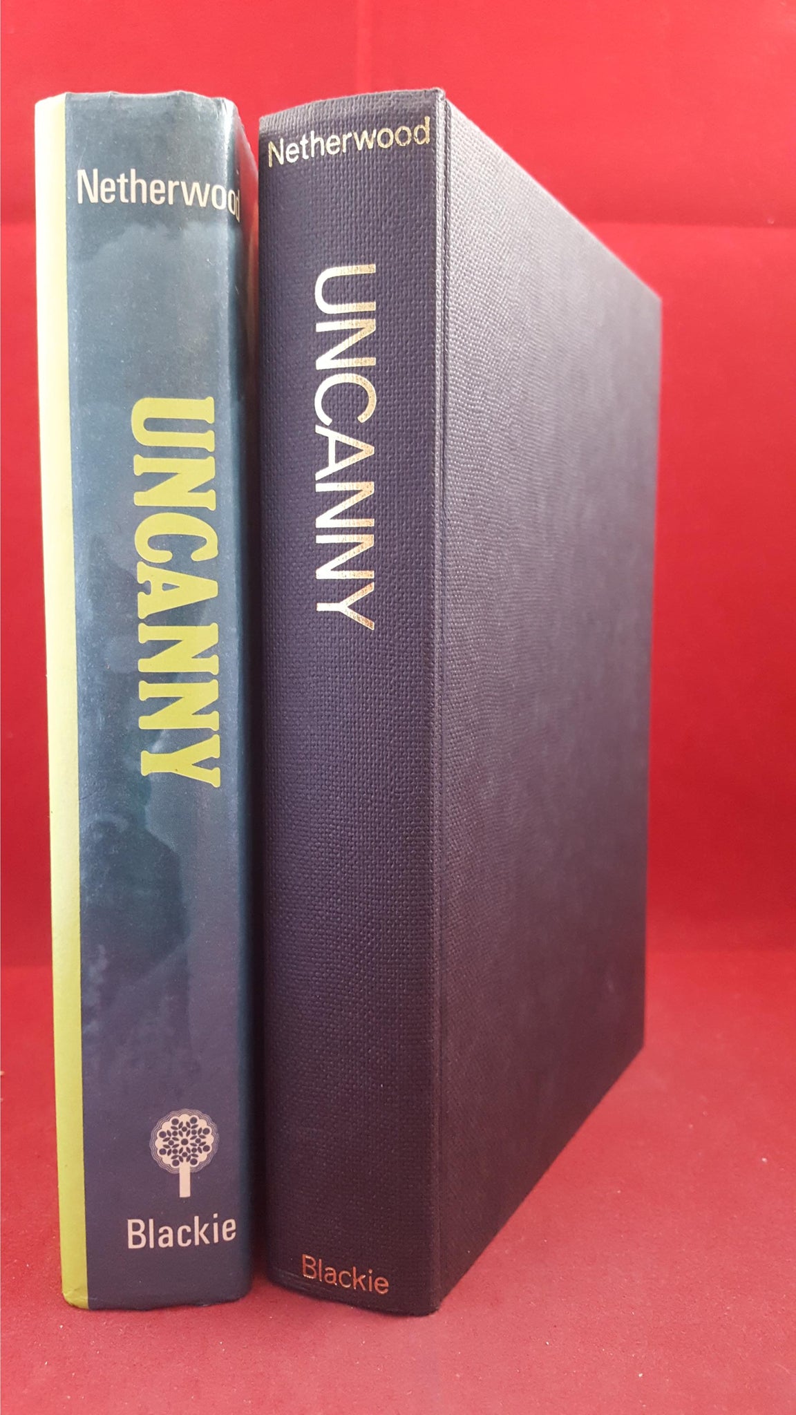 Bryan A Netherwood - Uncanny Tales of the Spectral and Supernatural, B ...