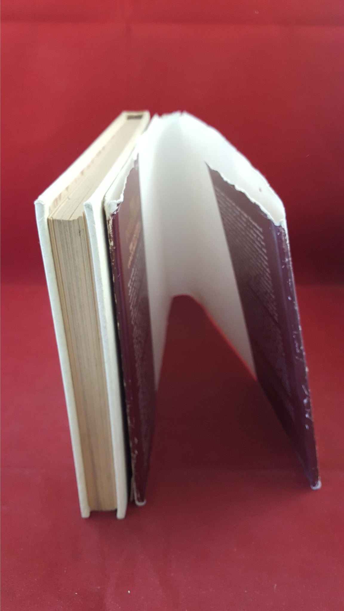 Michael Baker - The Doyle Diary, Paddington Press, 1978, First Edition ...