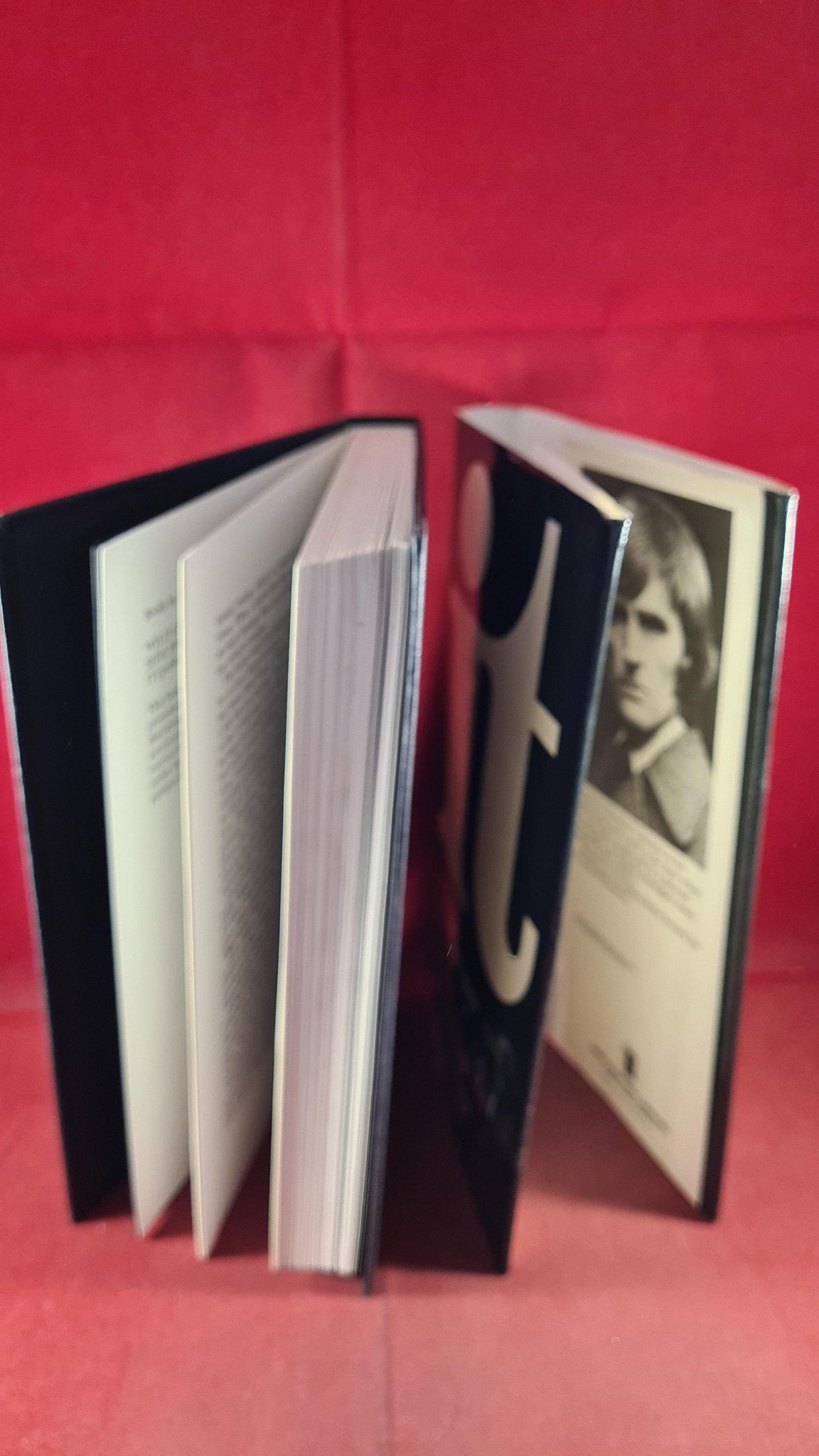 Raymond Hawkey - It, New English Library, 1983 – Richard Dalby's Library