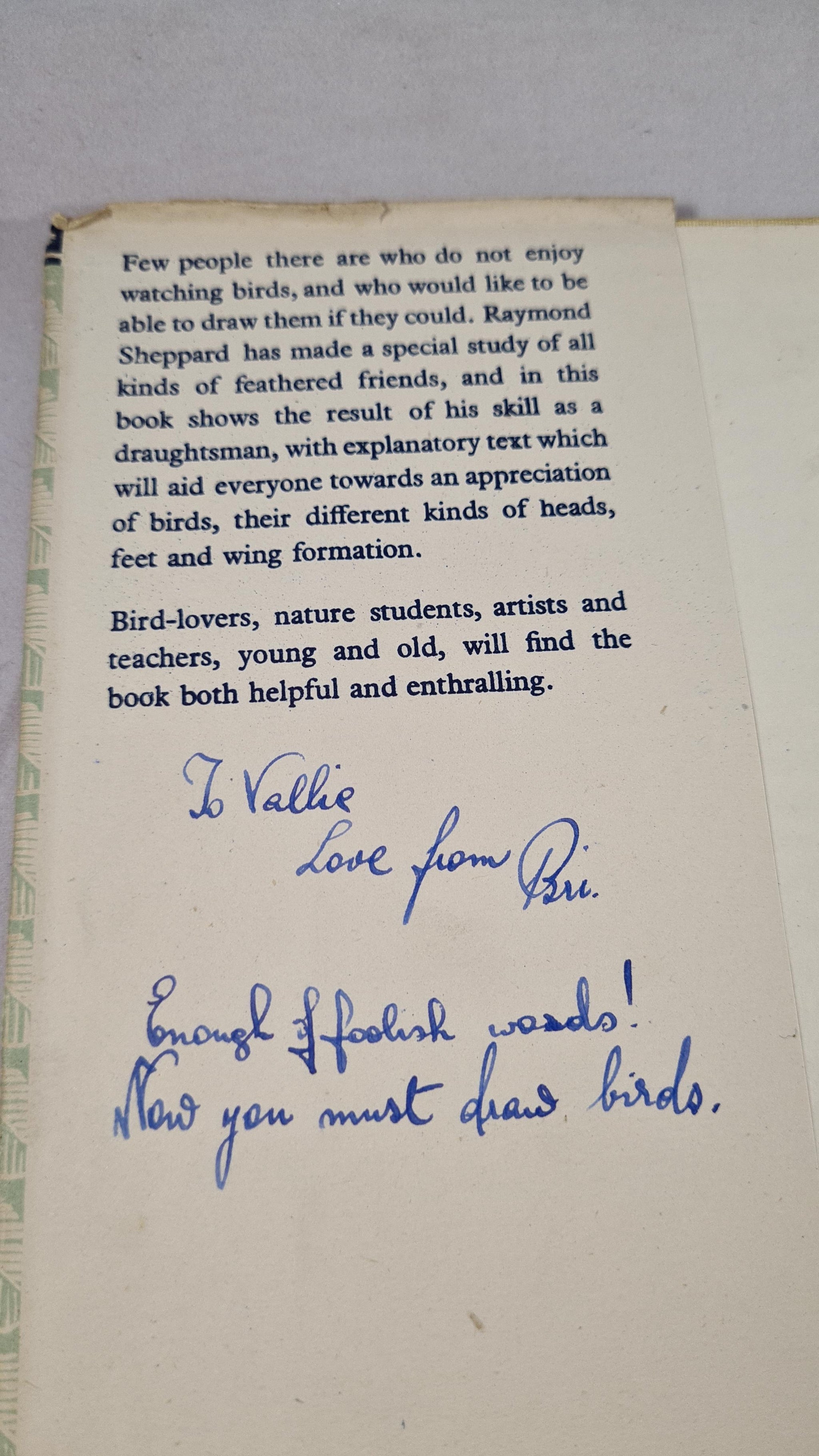 how to draw birds raymond sheppard