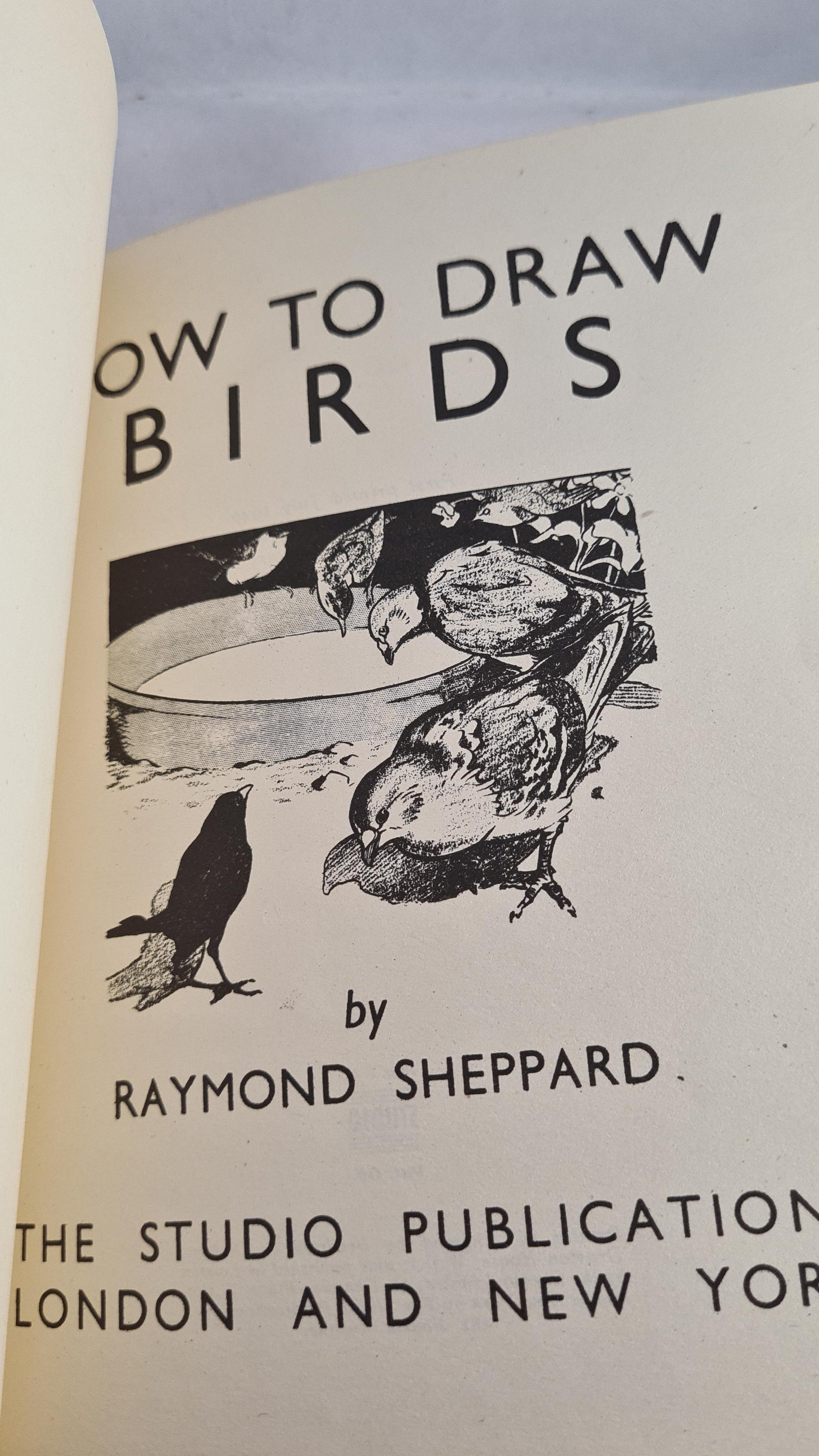 how to draw birds book