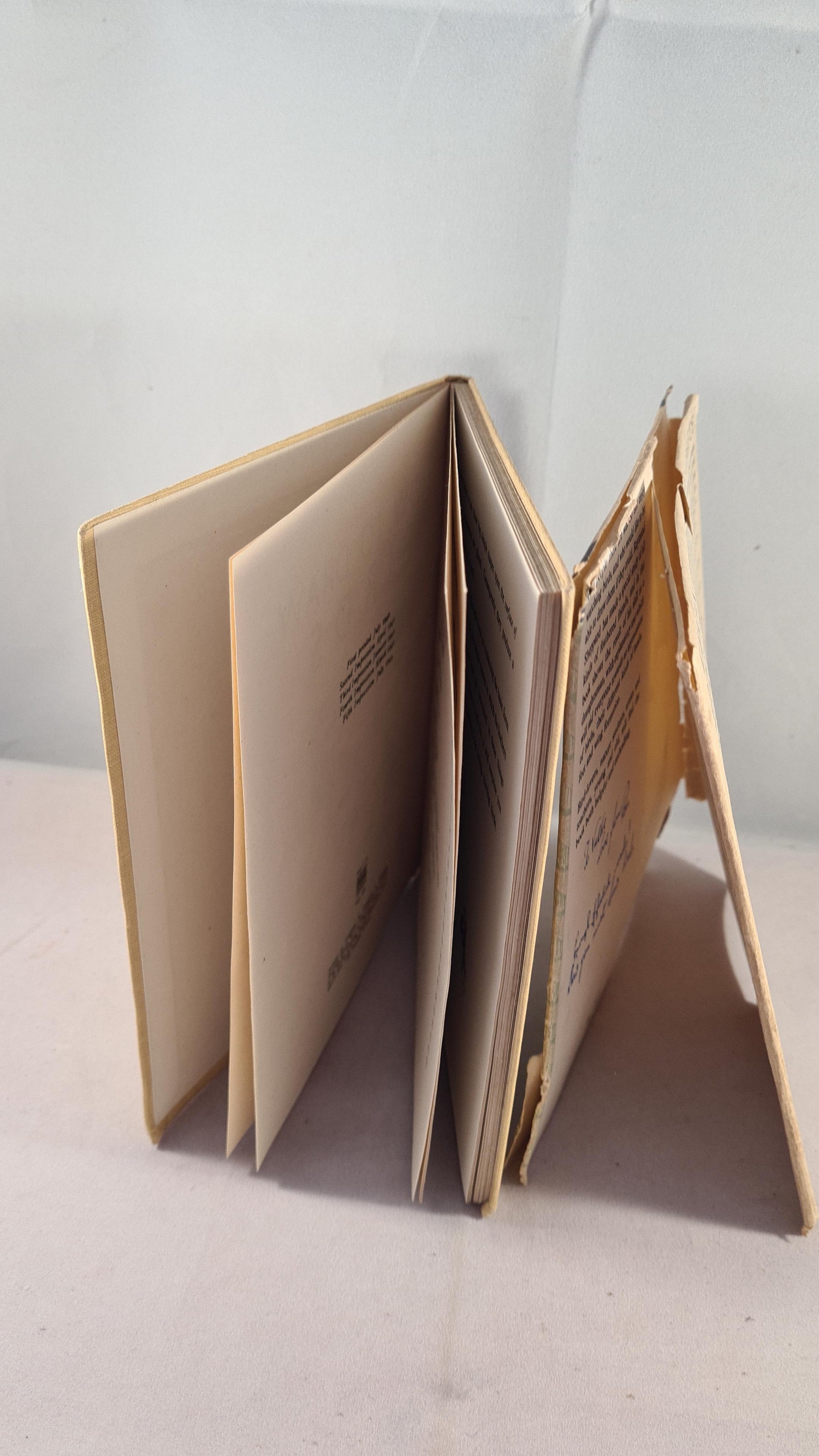 how to draw birds raymond sheppard